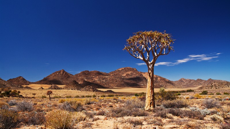 10 Reasons To Visit South Africa’s Northern Cape | AFKTravel
