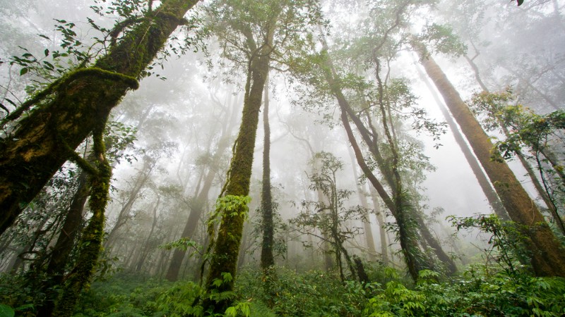 10 Things To See And Do In The Democratic Republic Of The Congo | AFKTravel