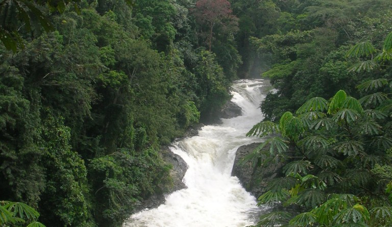 Exploring Cross River State, Nigeria | AFKTravel
