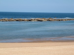 15 Beautiful Beaches In Mozambique To Bliss Out On | AFKTravel