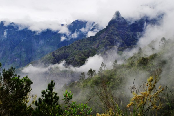 10 Reasons Why Travelers Are Wild About Reunion Island | AFKTravel
