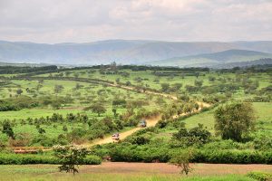 15 Photos Of Rwanda That Will Make Your Jaw Drop | AFKTravel