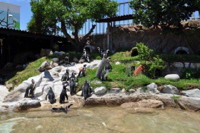 Have Child, Will Travel: Visiting Port Elizabeth With Kids | AFKTravel