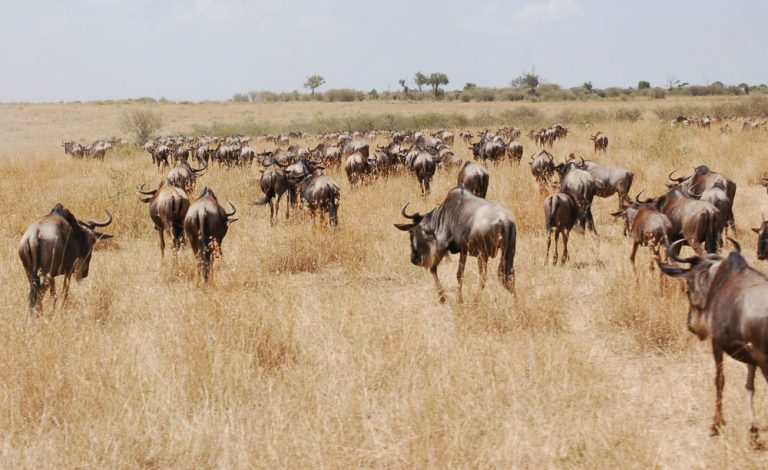 15 natural attractions in Kenya to add to your bucket list NOW | AFKTravel