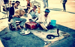 15 Things You Didn't Know About Snake Charming | AFKTravel