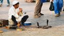 15 Things You Didn't Know About Snake Charming | AFKTravel