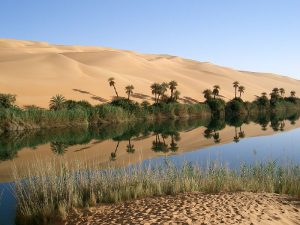 15 Of The Most Beautiful Desert Oases In The World | AFKTravel