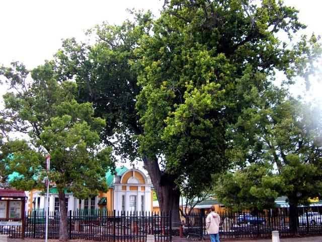 15 Free Things To Do Along South Africa's Garden Route | AFKTravel