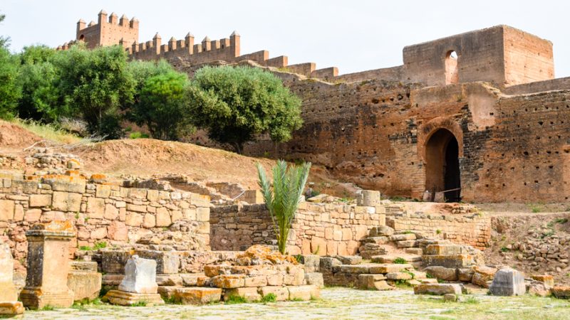 Exploring The Ruins Of Chellah | AFKTravel