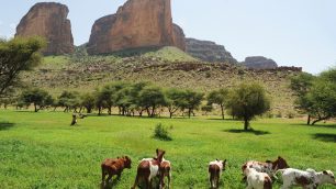 Photo Essay: The Incredible Sights Of Mali | AFKTravel