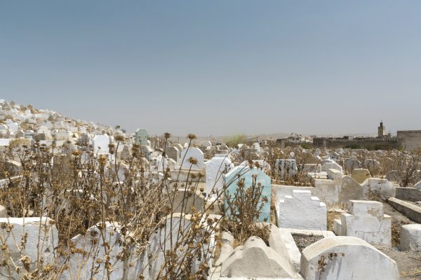 10 Things You Didn't Know About The Ancient City Of Fez | AFKTravel