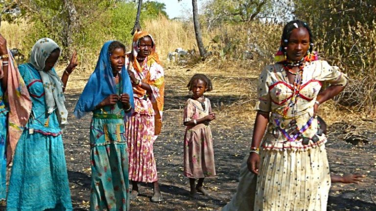 A Captivating Culture: 10 Things You Didn't Know About The Fulani ...