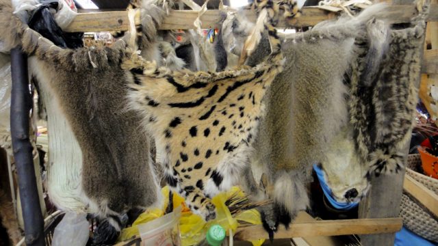 Scenes From Swaziland: The Kingdom Like You've Never Seen It Before ...