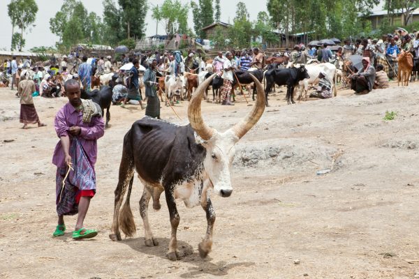 10 Things You Didn't Know About The Oromo People Of East Africa | AFKTravel