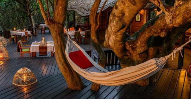 The Most Fabulous Hotels In The Elephant Coast | AFKTravel