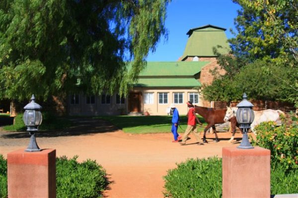 Our Favorite Guest Farms In Namibia | AFKTravel